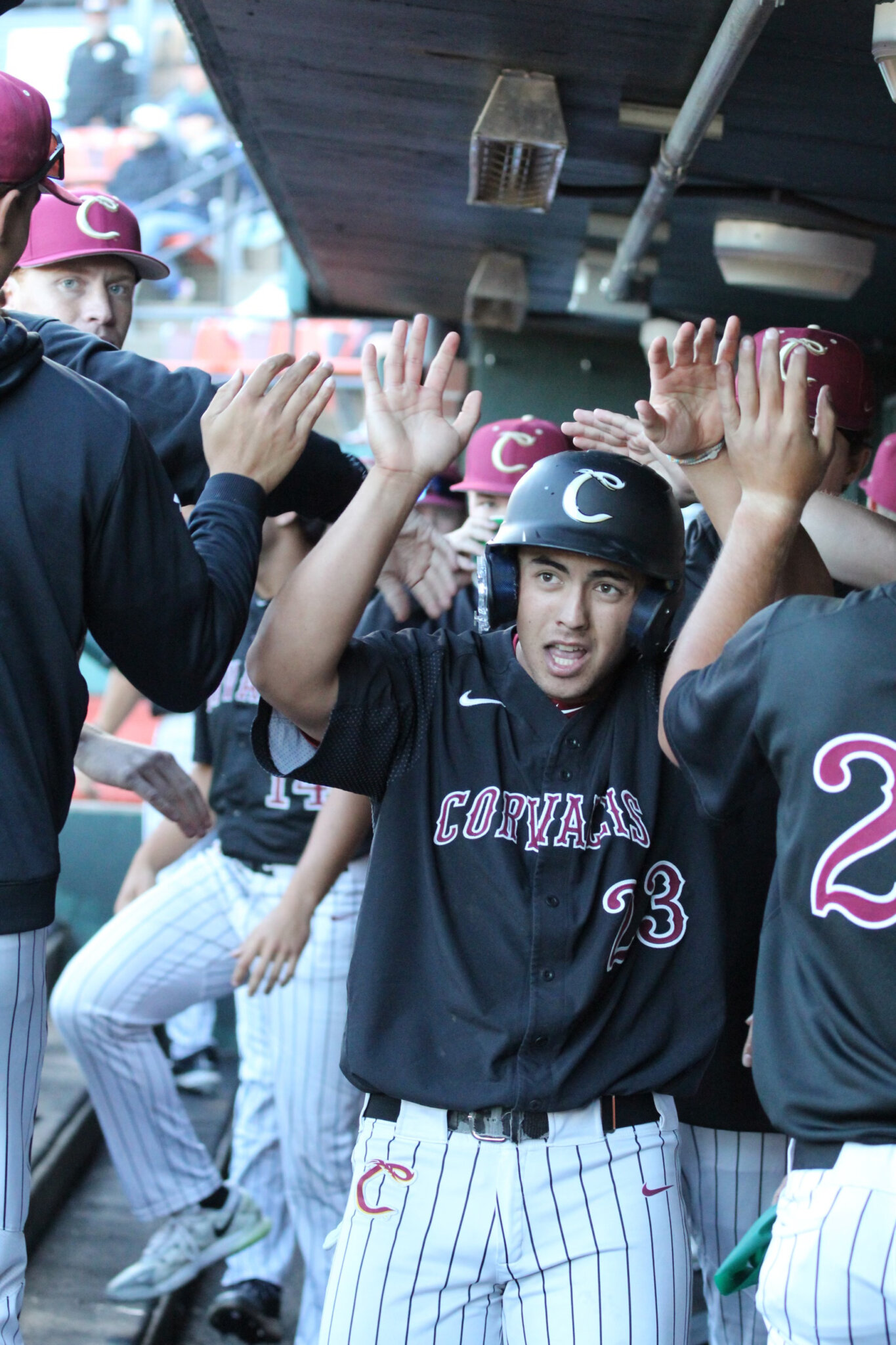 Second WCL Spotlight of 2024 Unveiled - West Coast League